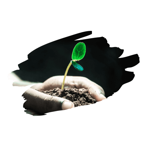 Organic Growth Lab – Growth-driven strategies for business success